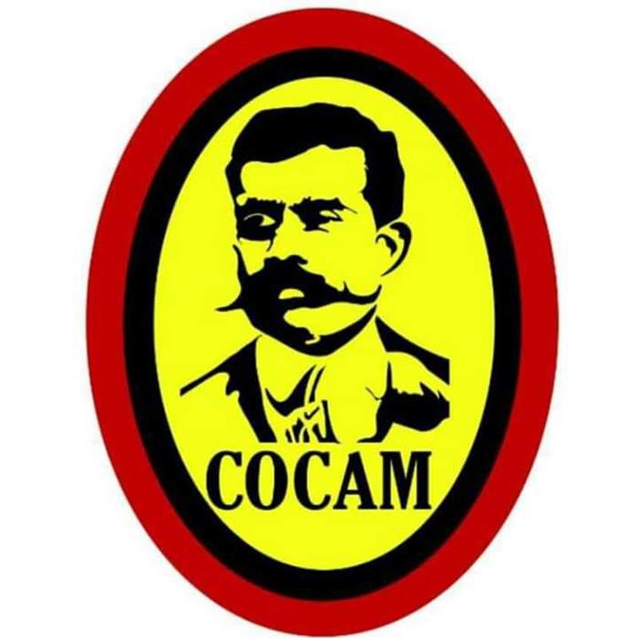Cocam-ac